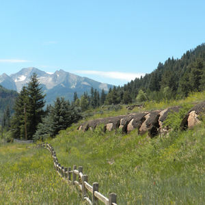 coke ovens resume 1×1 | McDowell Engineering